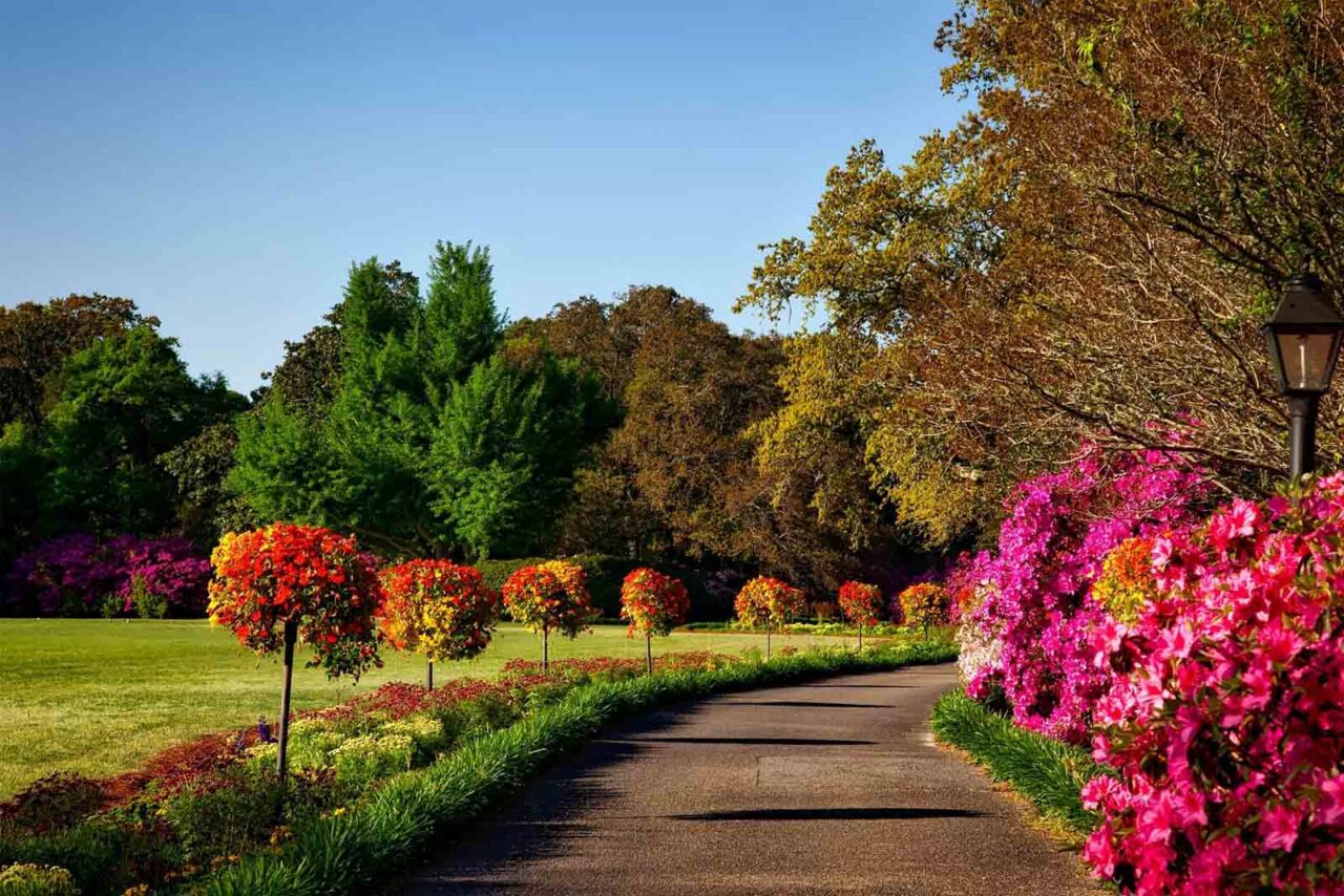 Custom Landscape Installation Lexington KY | Redmond’s Garden Center
